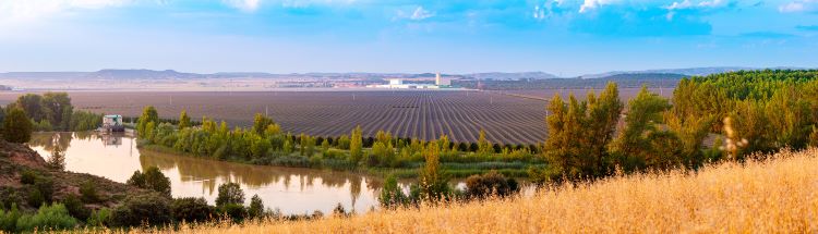 Producción completa en La Rasa (Grupo NUFRI), que apacigua las ...